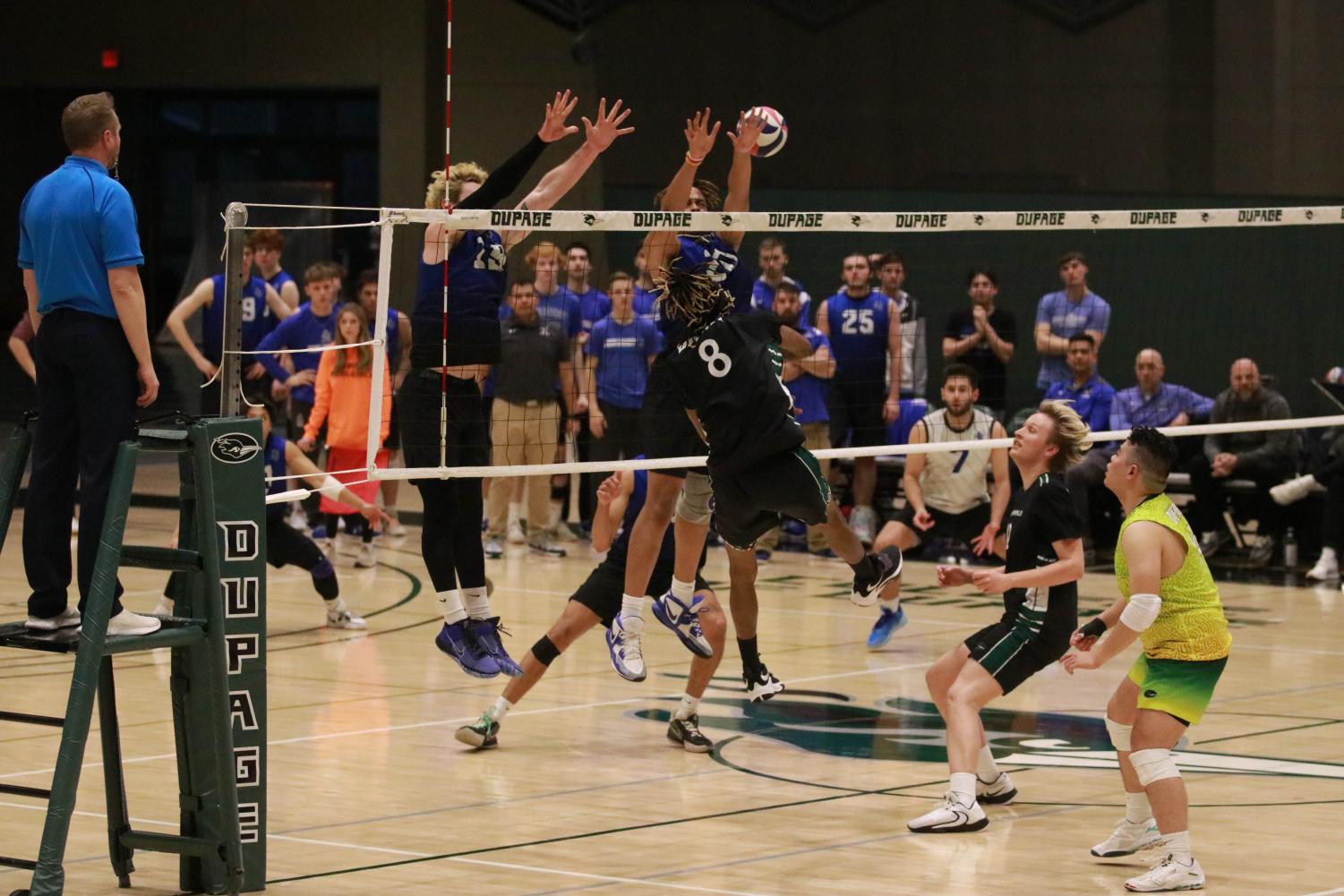Chaparral Volleyball Loses to Spartans on Sophomore Night - The Courier
